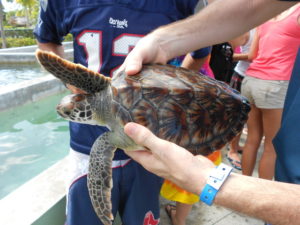 LIVE Onboard Carnival Magic | Day 5 of Our Cruise