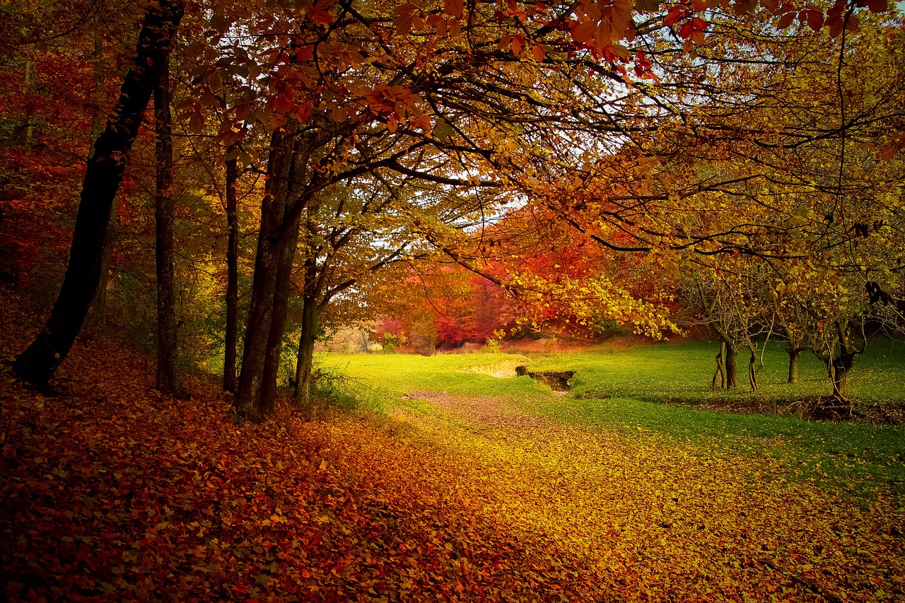FALL TRAVEL: Where Will You Go As the Leaves Change Color? | Travel ...